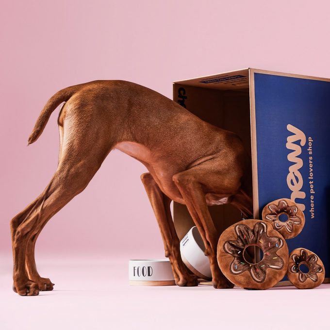 Affiliates | State Employees Association of North Carolina